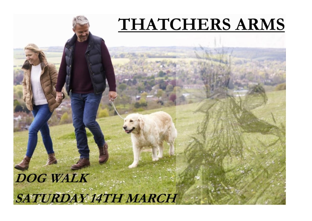 Spring Dog Walk - Thatchers Arms